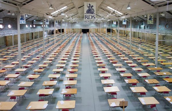 Dublin Horse Show - Tina Reed Artist